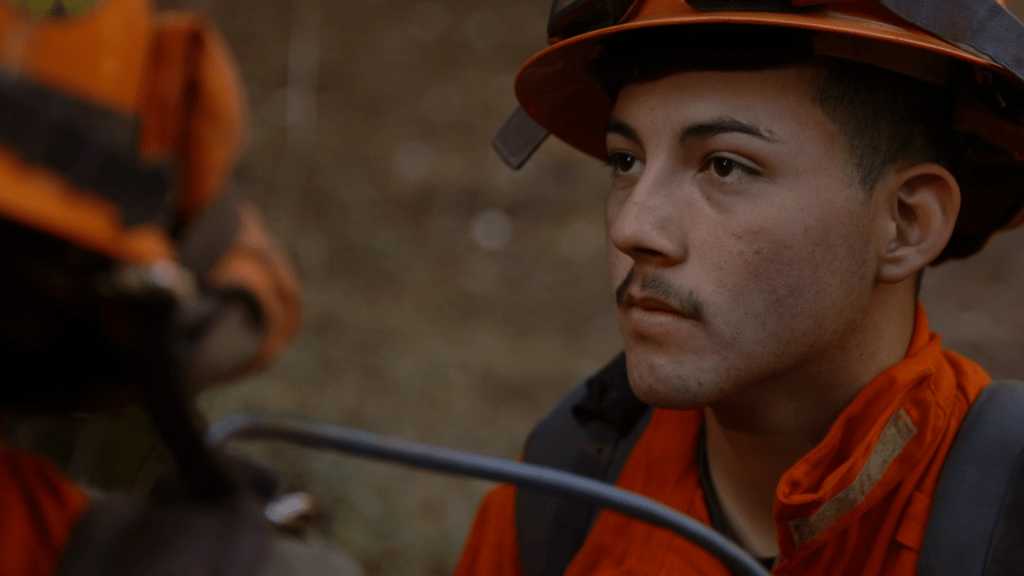 Fireboys | Jack Shalom