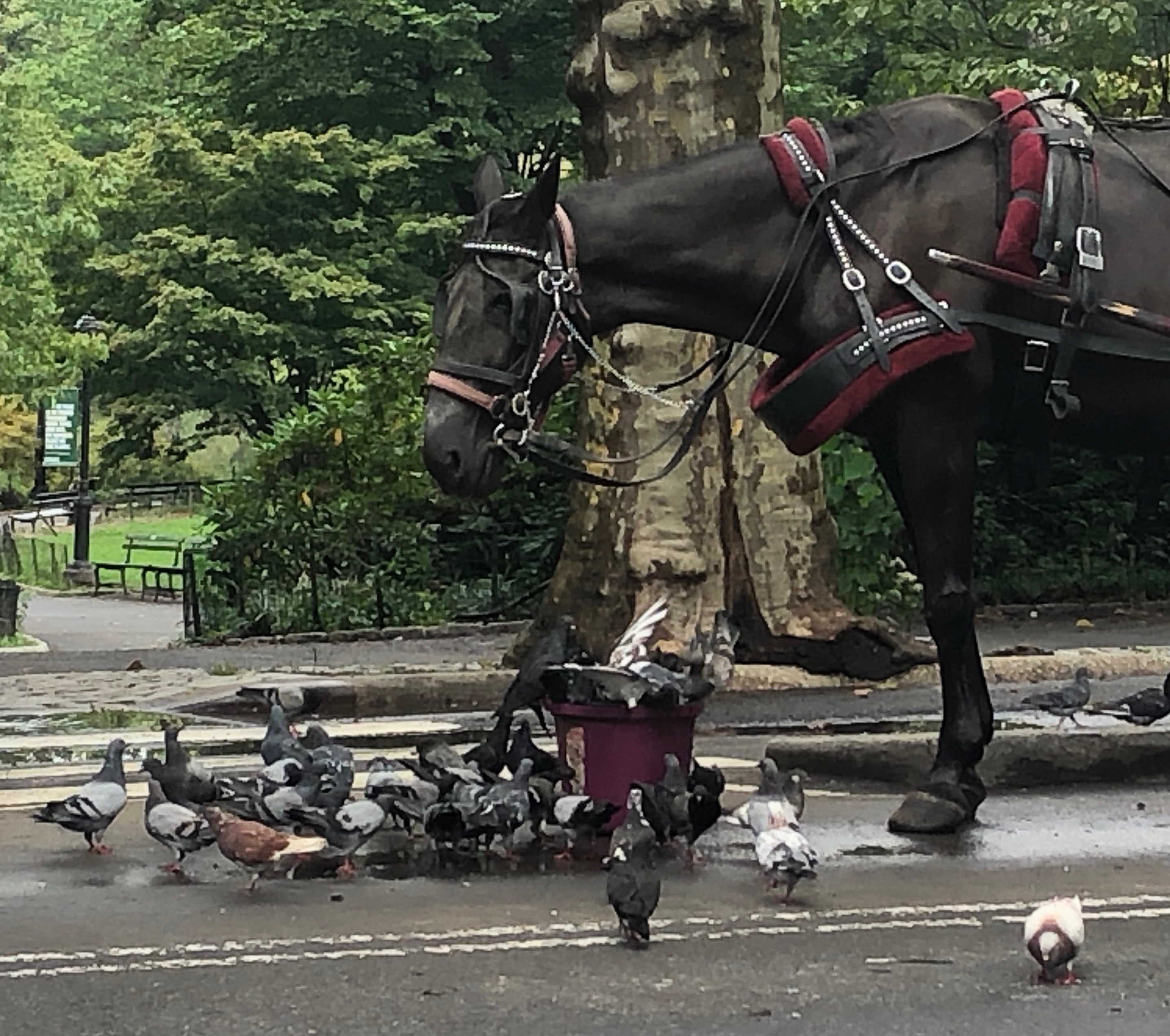 Feeding Time | Jack Shalom