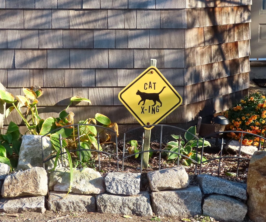 Safety First | Jack Shalom