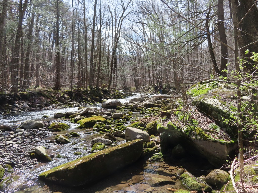 Streaming | Jack Shalom